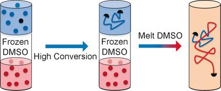 通过温度调节单体分离的闭环系统一锅嵌段共聚,Angewandte Chemie International Edition - X-MOL