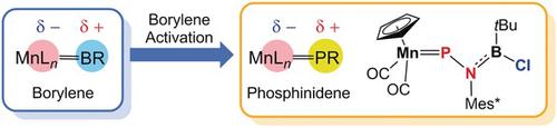 Direct Conversion from Terminal Borylene into Terminal Phosphinidene ...