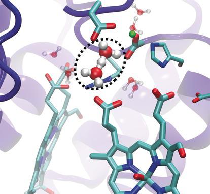 A Protonated Water Cluster as a Transient Proton‐Loading Site in ...