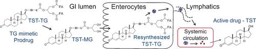 Glyceride‐Mimetic Prodrugs Incorporating Self‐Immolative Spacers ...