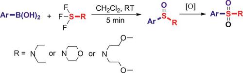 芳烃硼酸和衍生物与DAST型试剂的无金属交叉偶联，可直接获得各种芳族亚磺酰胺和磺酰胺,Angewandte Chemie ...