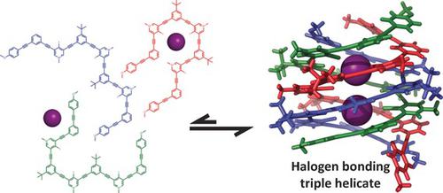 A Halogen‐Bond‐Induced Triple Helicate Encapsulates Iodide,Angewandte ...