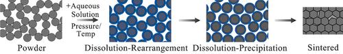 Cold Sintering: A Paradigm Shift for Processing and Integration of ...
