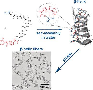 使用八肽–胍基二羰基吡咯共轭物形成自组装成pH响应纤维的超分子β螺旋。,Angewandte Chemie International ...