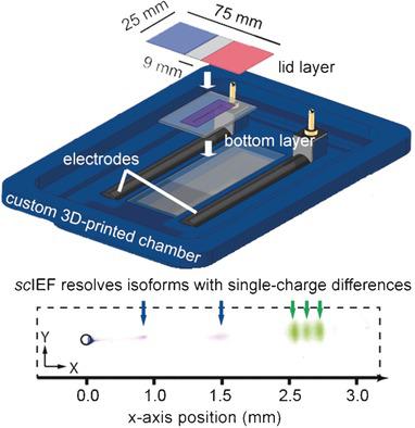 Detection of Isoforms Differing by a Single Charge Unit in Individual ...