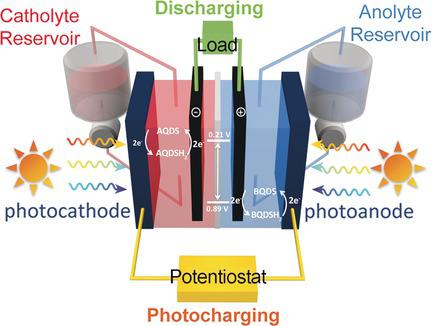 Integrated Photoelectrochemical Solar Energy Conversion and Organic ...