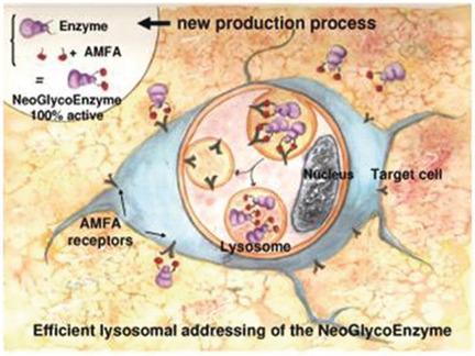 Design of Potent Mannose 6‐Phosphate Analogues for the ...