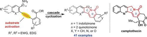 Total Synthesis of Camptothecin and Related Natural Products by a ...