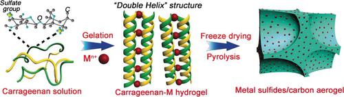 Double‐Helix Structure in Carrageenan–Metal Hydrogels: A General ...