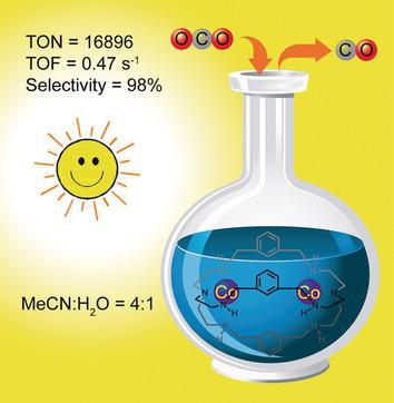 A Dinuclear Cobalt Cryptate as a Homogeneous Photocatalyst for Highly ...