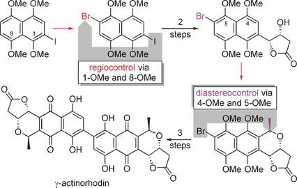 First Stereoselective Total Synthesis of a Dimeric Naphthoquinonopyrano ...