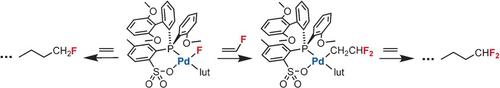 Olefin Insertion into a Pd–F Bond: Catalyst Reactivation Following β‐F ...