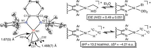 Structure and Isotope Effects of the β‐H Agostic (α‐Diimine)Nickel ...