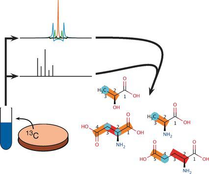 NMR和MS光谱（CANMS）的组合分析,Angewandte Chemie International Edition - X-MOL