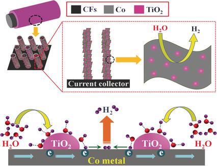 Efficient Hydrogen Evolution Electrocatalysis Using Cobalt Nanotubes Decorated with Titanium ...