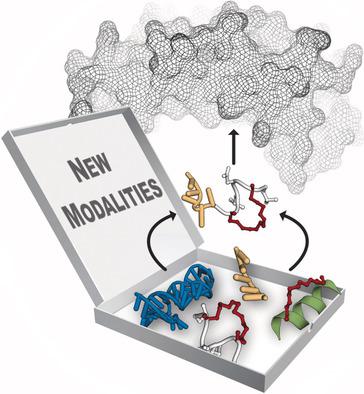 New Modalities for Challenging Targets in Drug Discovery,Angewandte ...