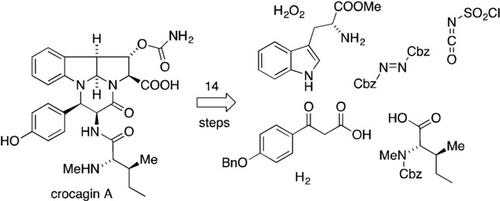 番红素A的全合成,Angewandte Chemie International Edition - X-MOL