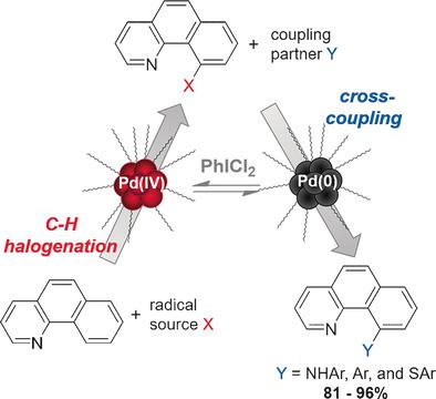 Directed C−H Activation and Tandem Cross‐Coupling Reactions Using Palladium Nanocatalysts with ...