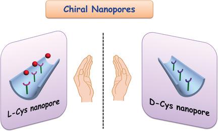 Chiral Selective Transport of Proteins by Cysteine‐Enantiomer‐Modified Nanopores,Angewandte ...