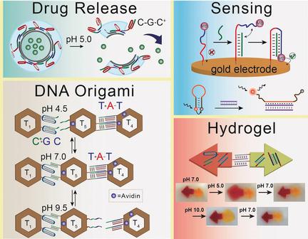Triplex DNA Nanostructures: From Basic Properties to Applications ...