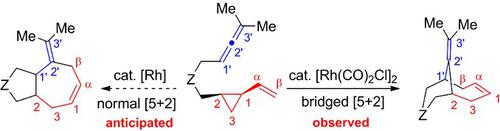 Rhodium(I)‐Catalyzed Bridged [5+2] Cycloaddition of cis‐Allene‐vinylcyclopropanes to Synthesize ...