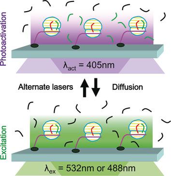 Single-Molecule Photoactivation FRET: A General and Easy-To-Implement ...