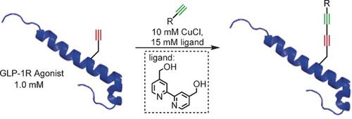 Adapting the Glaser Reaction for Bioconjugation: Robust Access to ...