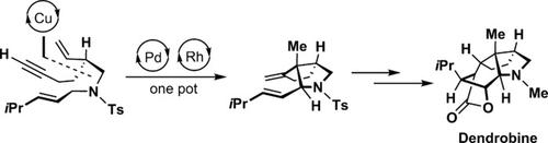 An Asymmetric Pathway to Dendrobine by a Transition‐Metal‐Catalyzed ...