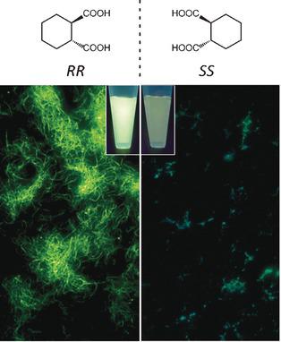 A Chiral Recognition System Orchestrated by Self‐Assembly: Molecular ...