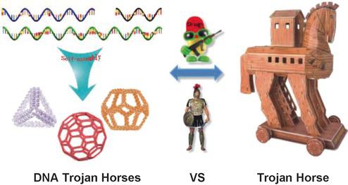 DNA Trojan Horses: Self‐Assembled Floxuridine‐Containing DNA Polyhedra ...