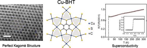 Superconductivity in a Copper(II)‐Based Coordination Polymer with Perfect Kagome Structure ...