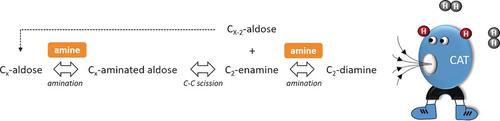 Low‐Temperature Reductive Aminolysis of Carbohydrates to Diamines and ...