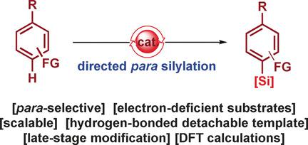 Experimental and Computational Exploration of para‐Selective Silylation ...