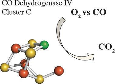 CODH-IV：高效的抗O2的CO清除CO脱氢酶,Angewandte Chemie International Edition - X-MOL