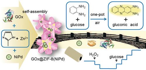 GOx@ZIF‐8(NiPd) Nanoflower: An Artificial Enzyme System for Tandem Catalysis,Angewandte Chemie ...