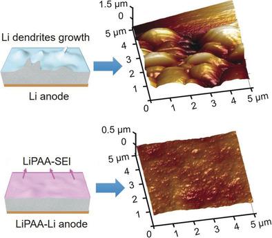 A Flexible Solid Electrolyte Interphase Layer for Long‐Life Lithium ...