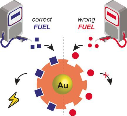 Fuel‐Selective Transient Activation of Nanosystems for Signal ...