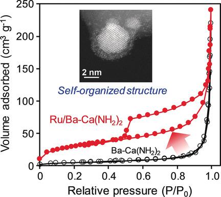 Self‐organized Ruthenium–Barium Core–Shell Nanoparticles on a ...