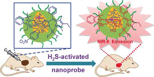 Imaging of Colorectal Cancers Using Activatable Nanoprobes with Second ...