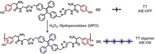 An Intracellular H2O2‐Responsive AIEgen for the Peroxidase‐Mediated ...
