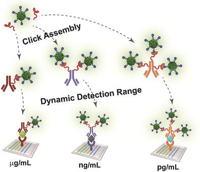 Controllable Assembly of Enzymes for Multiplexed Lab‐on‐a‐Chip Bioassays with a Tunable ...