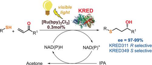 对映选择性合成1,3-巯基链烷醇挥发性硫化合物的光生物催化一锅级联反应,Angewandte Chemie International ...