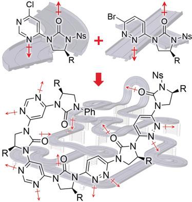 Conformationally Programmable Chiral Foldamers with Compact and ...