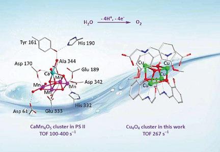 受生物启发的Cu4O4古巴烷：用于水溶液中电催化水氧化的有效分子催化剂,Angewandte Chemie International ...