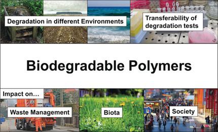 Plastics of the Future? The Impact of Biodegradable Polymers on the ...