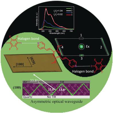 2D Organic Photonics: An Asymmetric Optical Waveguide in Self‐Assembled ...
