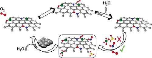 An Efficient Anti‐poisoning Catalyst against SOx, NOx, and POx: P, N ...