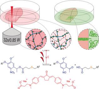 A Modular Approach to Sensitized Two-Photon Patterning of ...