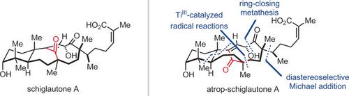 Total Synthesis of an Atropisomer of the Schisandra Triterpenoid ...