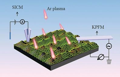 Bridging the Surface Charge and Catalytic Activity of a Defective ...